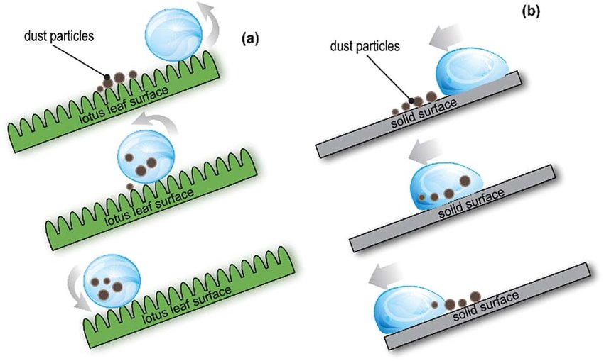 Nanotechnology in Superhydrophobic Coating